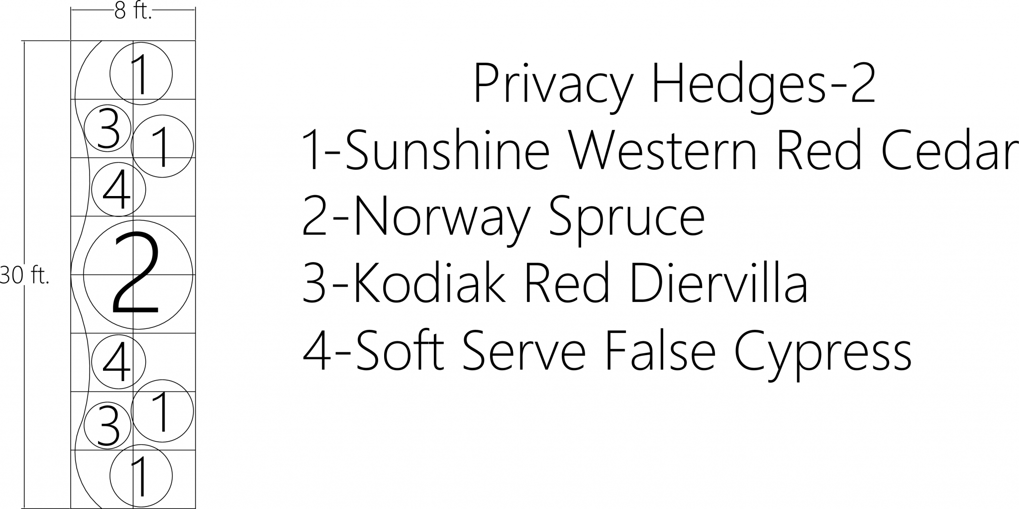 Privacy Hedges 2 | Plant by Number