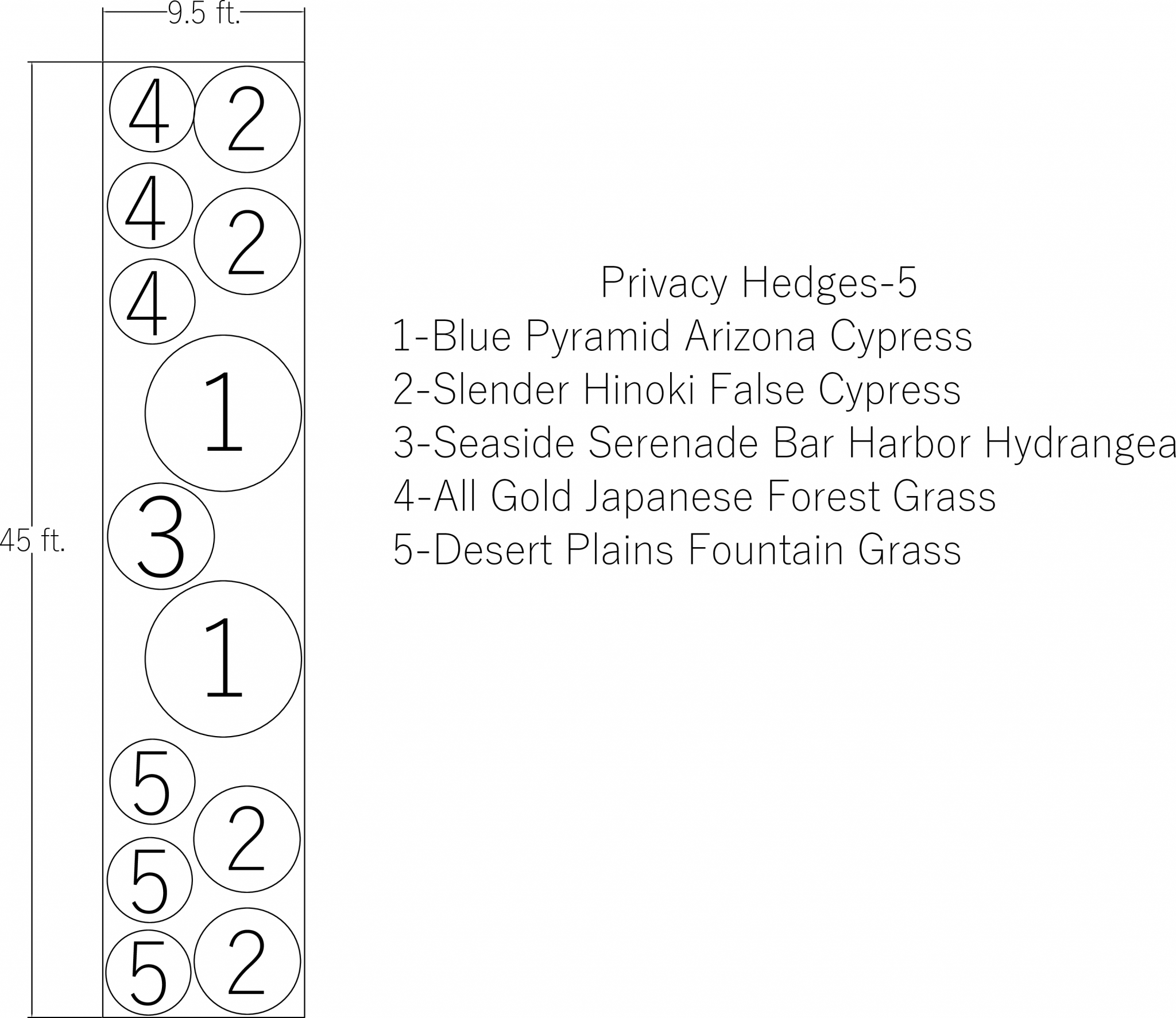 A Quiet Sanctuary | Plant by Number