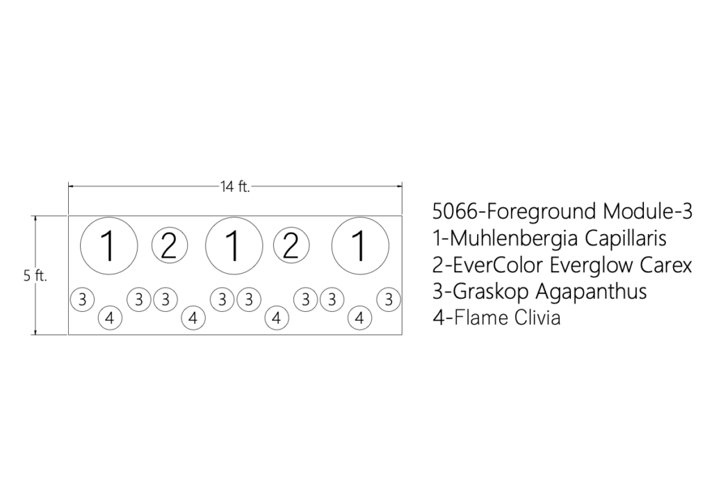 Small Splendors | Plant by Number