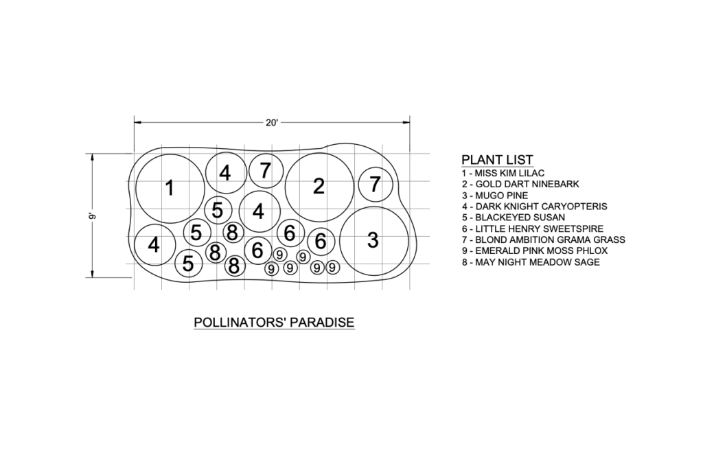 Pollinators Paradise | Plant by Number