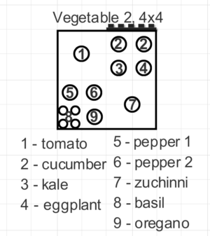 Vegetable 2 4x4 | Plant by Number