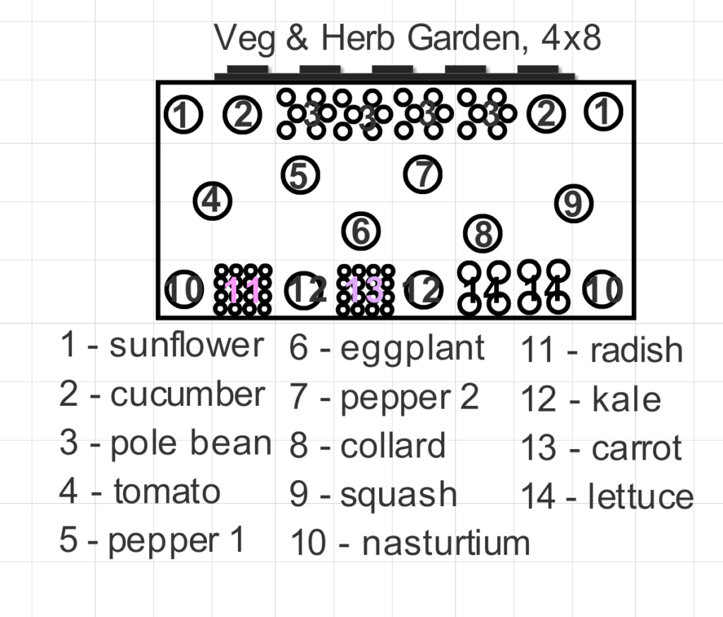 Vegetable 3 4x8 | Plant by Number