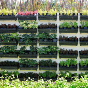 11 Cheap Ways to Block Neighbors View: Privacy Fence Ideas | Plant by ...